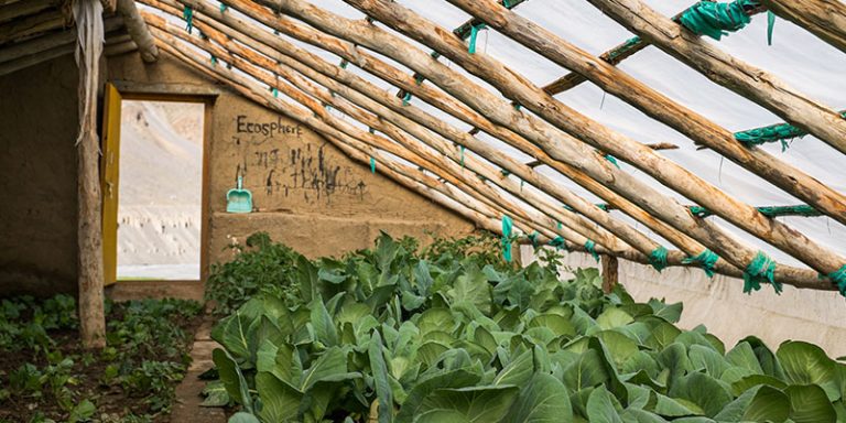 Volunteer for Sustainable Travel in Spiti with EcoSphere