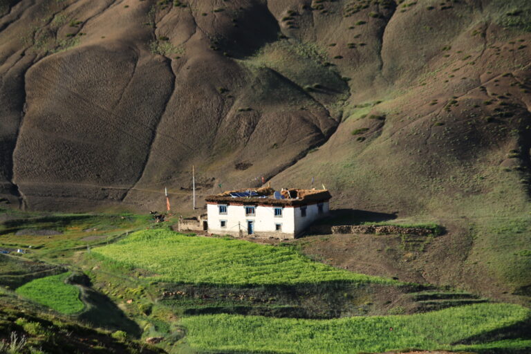 Discover Meaningful Volunteering Programs in India - Spiti EcoSphere