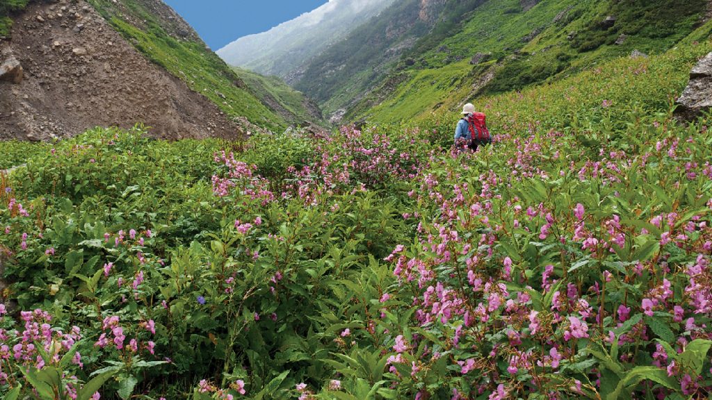 Pin Bhaba Trek | Trek from Kinnaur to Spiti valley